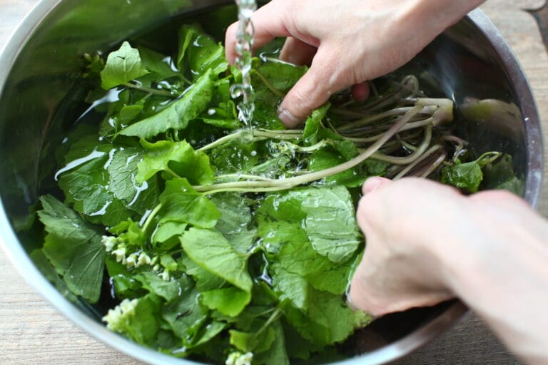 葉わさび（花わさび）の食べ方と下ごしらえ。辛味と香りを引き出すシンプルな方法 | やまでら くみこ のレシピ
