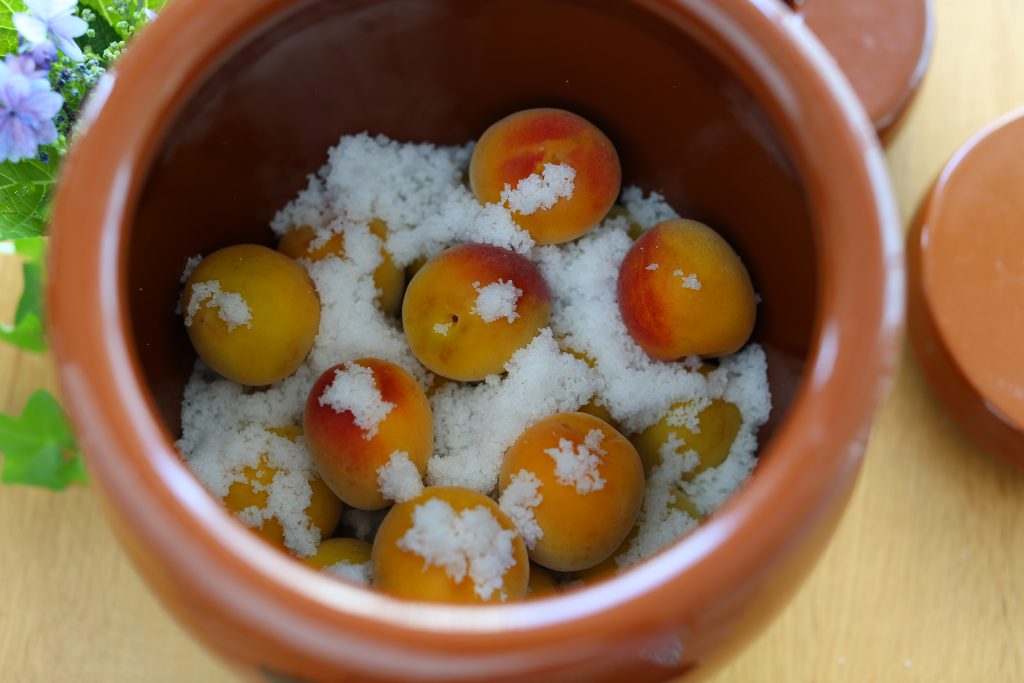 Umeboshi – How to Make Japanese Salt Plums | kumiko-jp.com