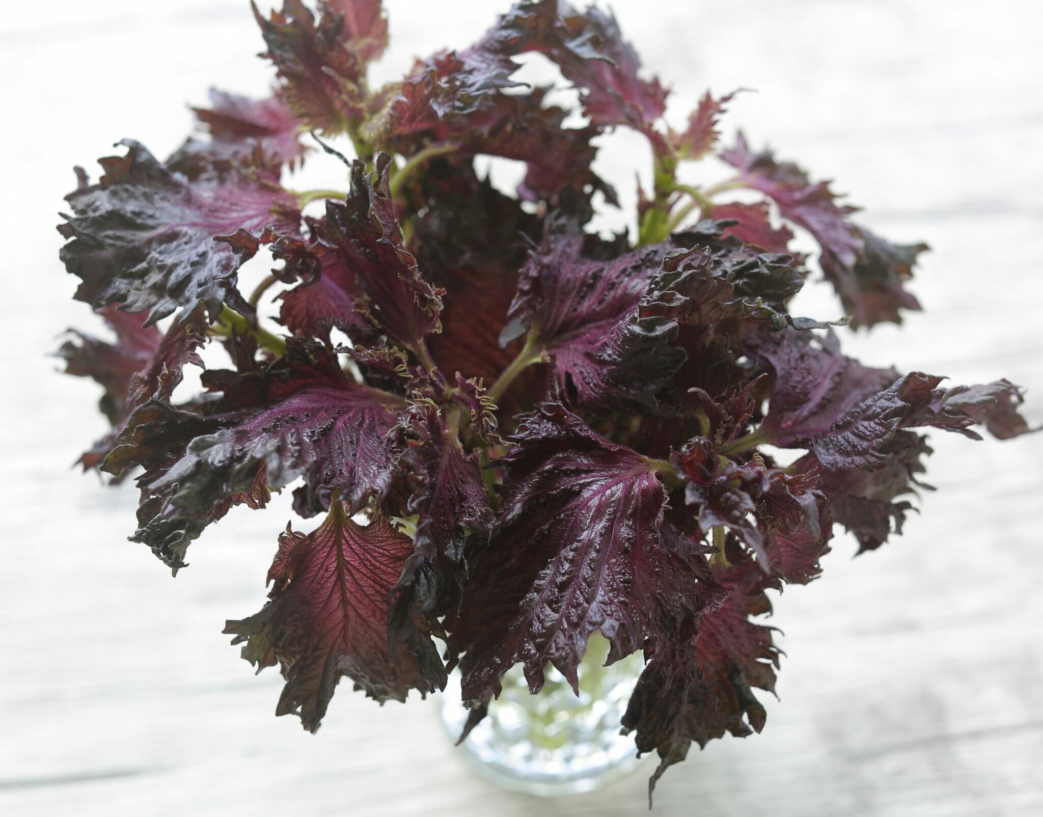 Japanese Recipes | kumiko-jp.com